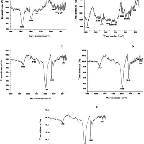 The Figure Represents Exothermic Itc Analysis Of Dna Binding By Mms Download Scientific Diagram