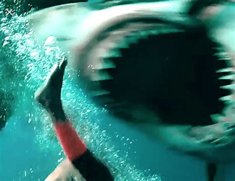 Breaking Very Aggressive Twelve Foot Tiger Shark Bites Deflates