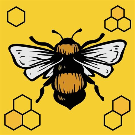Premium Vector Bee Vector Illustration