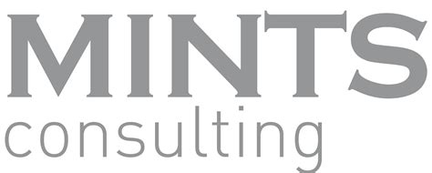 Mints Consulting Mints Consulting
