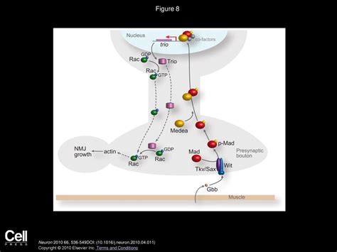 Volume Issue Pages May Ppt Download