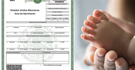 Sacar Acta De Nacimiento En Mexico Guia Oficial Rin Bee Porn Sex