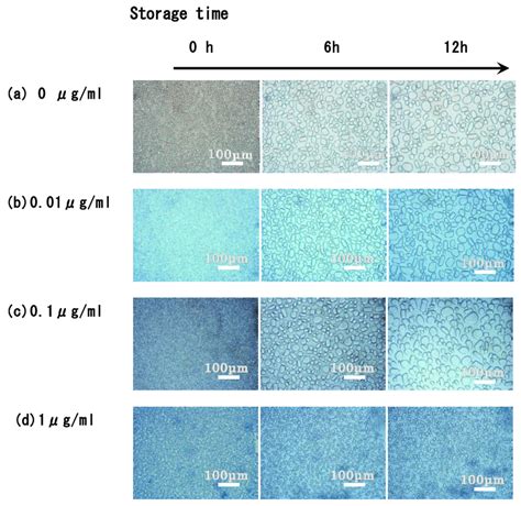 Recrystallization Of Ice Crystals In 33 Sucrose Solution Containing Download Scientific