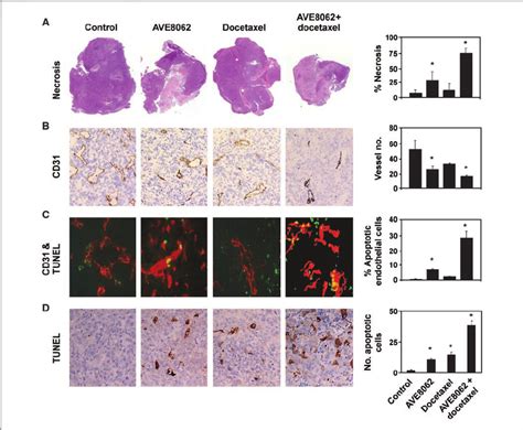 A Assessment Of Tumor Necrosis The Entire Tumor From Each Therapy