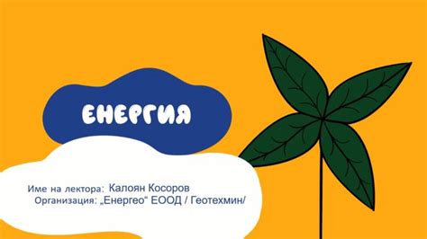 Уебинар на тема „Енергия“ второ практическо обучение Devin Jsc