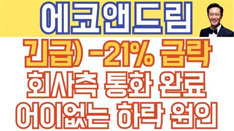 에코앤드림 주가전망 긴급 21 급락 회사측 통화 완료 어이없는 하락 원인 Youtube