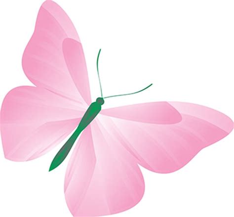 Emma Winterbottom Is Fundraising For Little Princess Trust