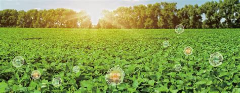 智慧农业 单品全产业链大数据解决方案 智慧三农 叁拾叁