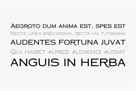 Copperplate Classic Medium Font Fontpath