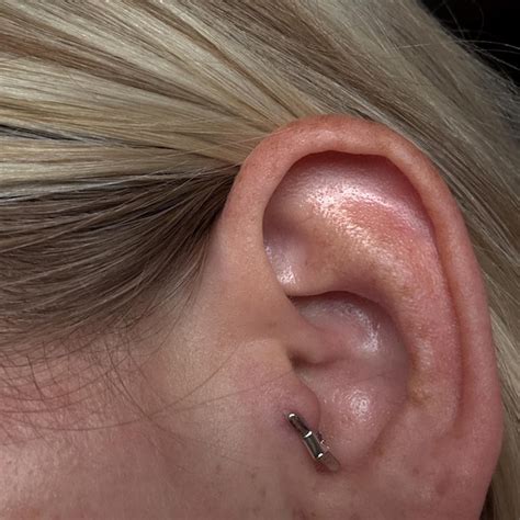 Cute Cat Patch Sticker Embroidered Sewing On Applique Kitten Fan Decor Diy Sew Supply For