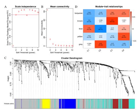 近期可以模仿的数据分析pipeline汇总 生信人