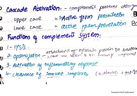 Solution Complement System 1function Of Complement System 2types Of