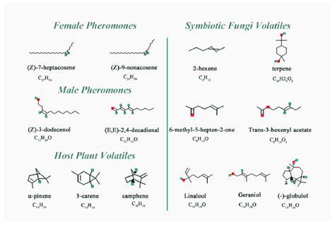 The Two Dimensional Structure Information Of The Ligands Download