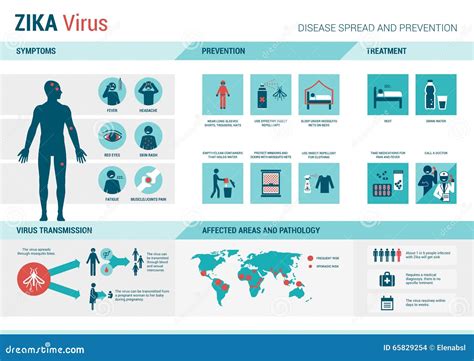 Zika Virus Infographic Stock Vector Illustration Of Mosquito 65829254