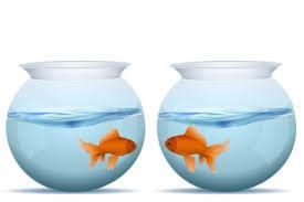 Making Scheduled Sex Great Sex Using The Fishbowl Method