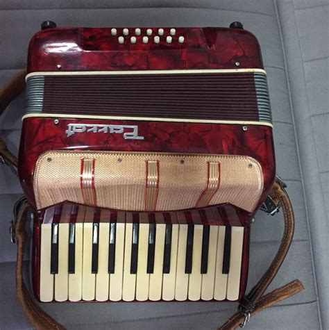 Parrot Accordion Hobbies And Toys Music And Media Musical Instruments On Carousell