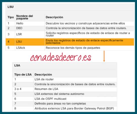 Paquetes De Ospf Ccna Desde Cero