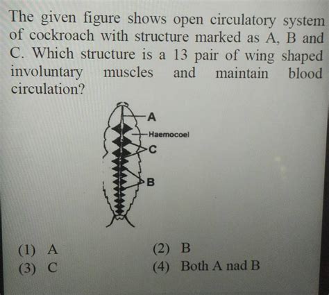 The Given Figure Shows Open Circulatory System Of Cockroach With Structur The Given Figure Shows Open Circulatory System Of Cockroach With Structur
