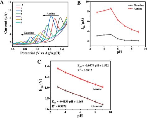 A In M Phosphate Buffer Solution DPV Of G And A At Different PH B Download Scientific