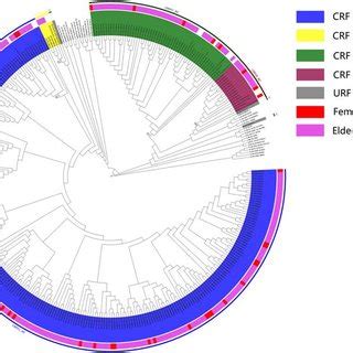 Ml Phylogenetic Tree Of Sequences Obtained From Female Sex Workers And Download Scientific