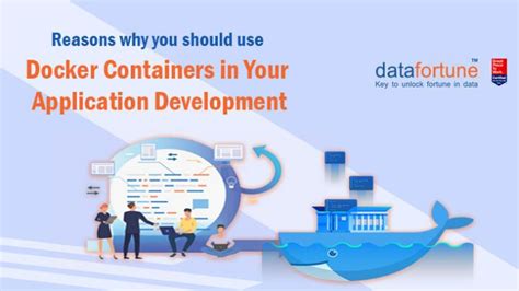 Reasons Why You Should Use Docker Containers In Your Application Development Datafortune