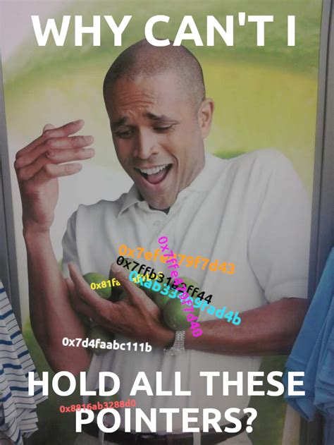 c programmers be like r programmerhumor