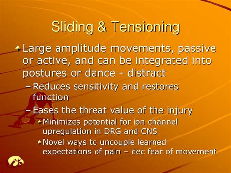 Ppt Neurodynamics Powerpoint Presentation Free Download Id3668764