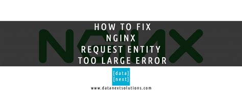 NGINX Request Entity Too Large Error DataNext Solutions