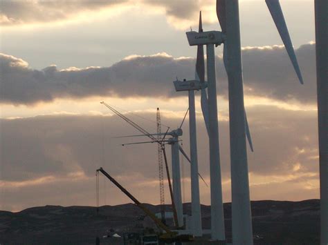 Gabal El Zayt Wind Farm Egypt Cranes