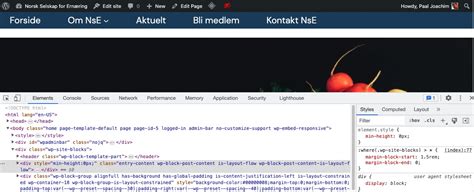 Post Content Block Adds Additional Margin One Can Not Remove Through The UI Issue