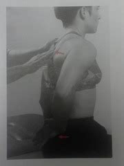 MMT Manual Muscle Testing Quizlet