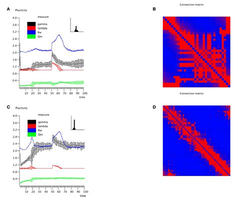 Figure 7 From Emergence Of Modular Structure In A Large Scale Brain