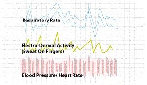 Lie Detection The Science And Development Of The Polygraph USC Viterbi Babe Of Engineering