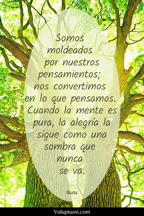 Frases De Sabiduría Para Reflexionar