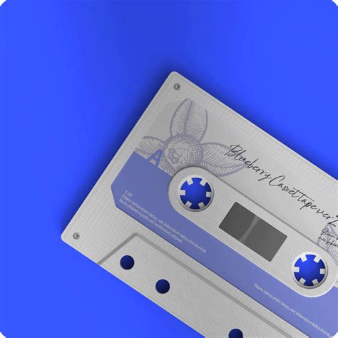 레트로 카세트 테이프 목업 프루티드 디자인 무료 목업과 디자인 리소스를 다운로드 받으세요