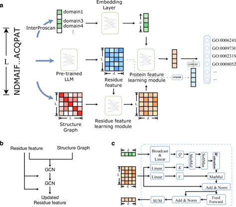 Dpfunc：通过深度学习和域引导结构信息准确预测蛋白质功能 Nature Communications X Mol