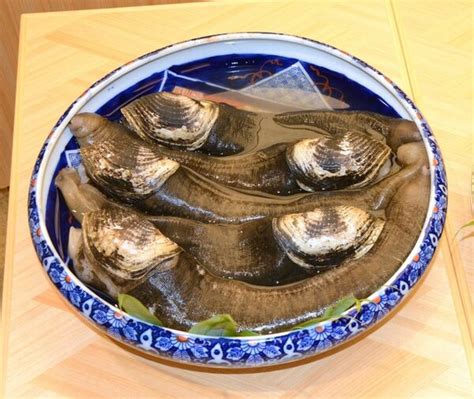 【写真・画像】二枚貝ウミタケ漁、17年ぶり解禁へ 佐賀県沖有明海、順調に生育 6月1日から1カ月、希望者募る 佐賀県有明海漁協 行政・社会 佐賀新聞ニュース 佐賀新聞