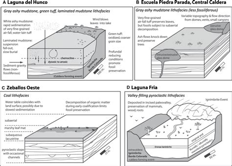 Schematic Block Diagrams Of Depositional Environments Interpreted In