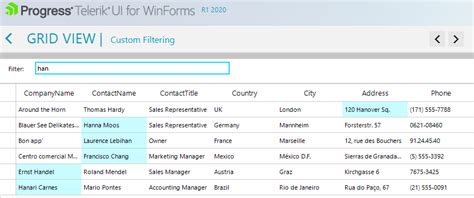 Popupeditor With Gridview And Autocompelete In Ui For Winforms Telerik Forums