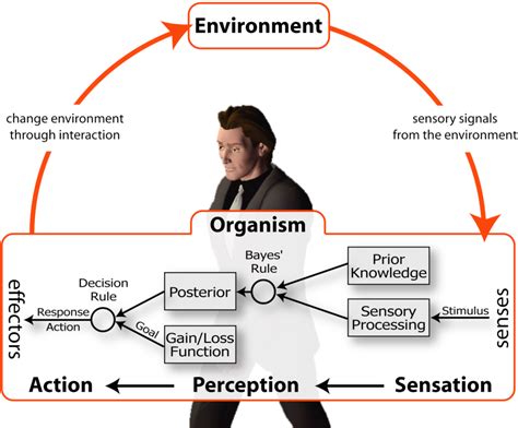 Figure 10 From A Bayesian View On Multimodal Cue Integration Semantic Scholar