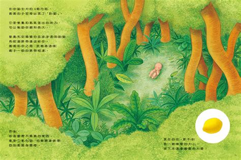 你在媽媽肚子裡的時候｜媽咪愛