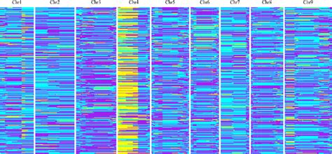 Recombination Bin Map Of 388 Foxtail Millet Rils The Whole Map Download Scientific Diagram