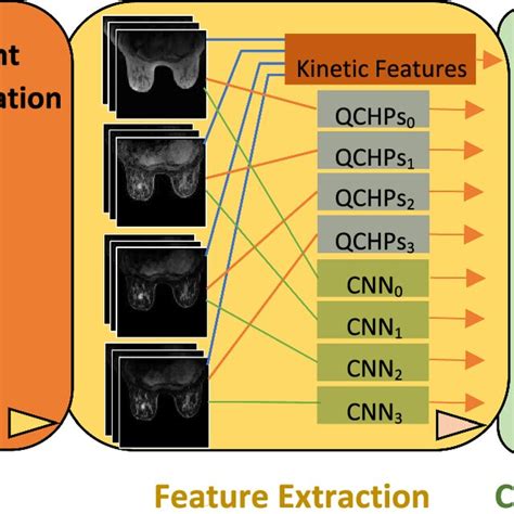 Flow Process For Mri Classification Download Scientific Diagram