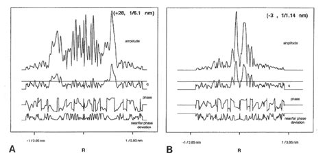 Selected Layer Lines After Ctf Correction Alignment And Merging