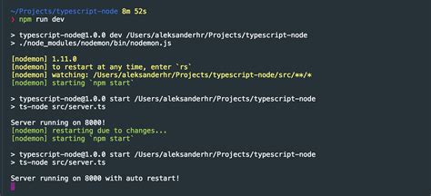 How To Get Auto Restart And Breakpoint Support With Typescript And Node