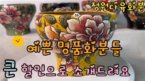 2024년 6월 19일 예쯘 명품화분들 할인가로 품어보세요정원다육화분 정원다육 예쁜화분 다육화분 수제공방분다육이분갈이 다육초보맘 Youtube