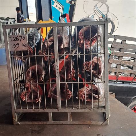 Indonesia Peroleh Tambahan Kuota Dari Iotc