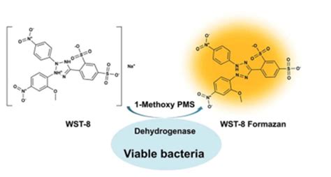 Cell Counting Kit 8 Cell Counting Kit 8 Is Also Known As By Sariya