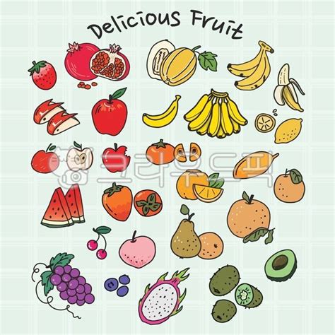 과일꾸러미 과일일러스트 종합과일 과일가게 석류 사진이미지일러스트캘리그라피 어썸디작가