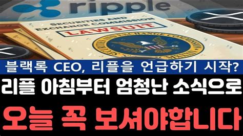리플전망 리플 제2의 비트코인 블랙록ceo가 직접 리플을 언급한다는 선전포고 오늘 영상은 꼭 보셔야합니다 리플전망 리플호재 리플급등 리플코인 리플소송 리플